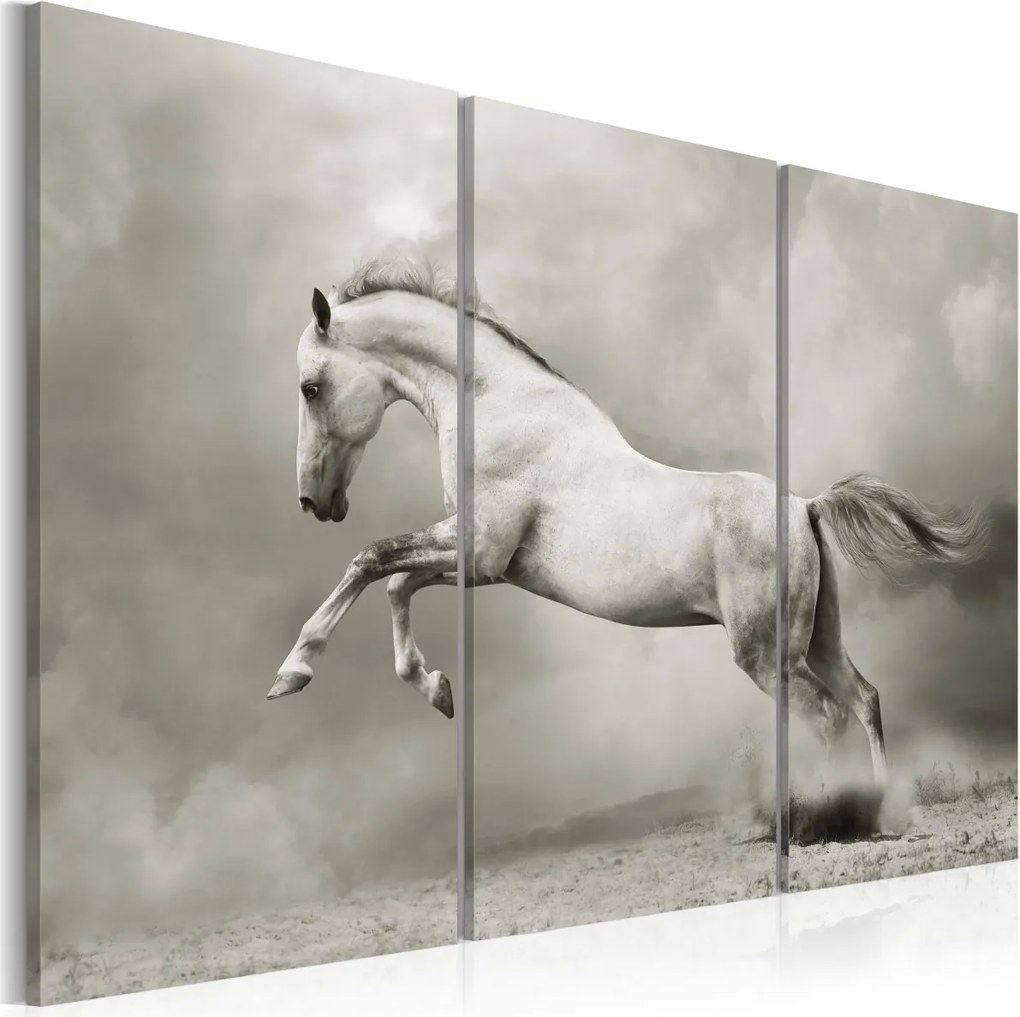 Obraz - Bílý kůň v pohybu - 120x80