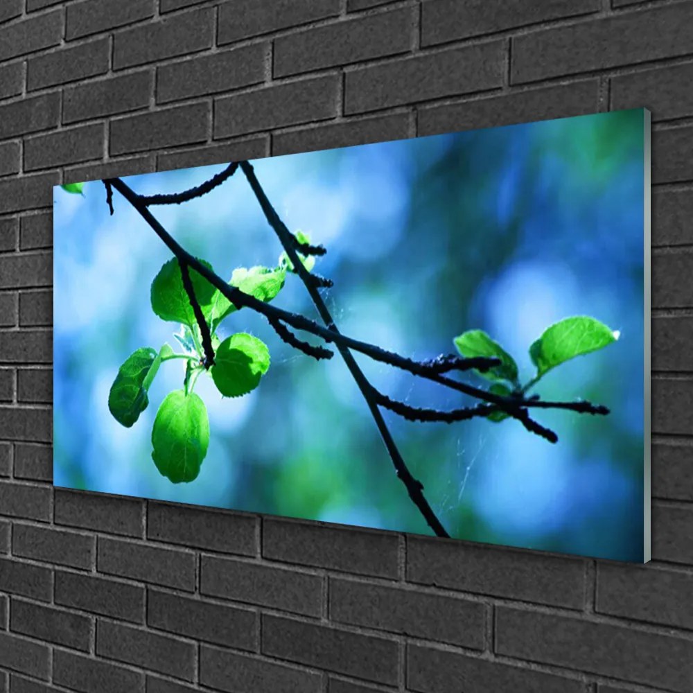 Obraz na skle Větev Listy Rostlina Příroda 120x60 cm