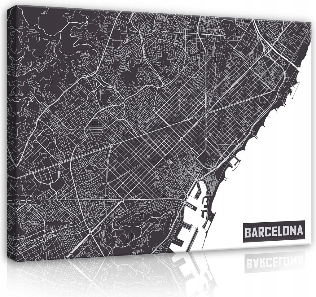 Obraz 80x60 Barcelona mapa města urbanismus minimalismus černobílý