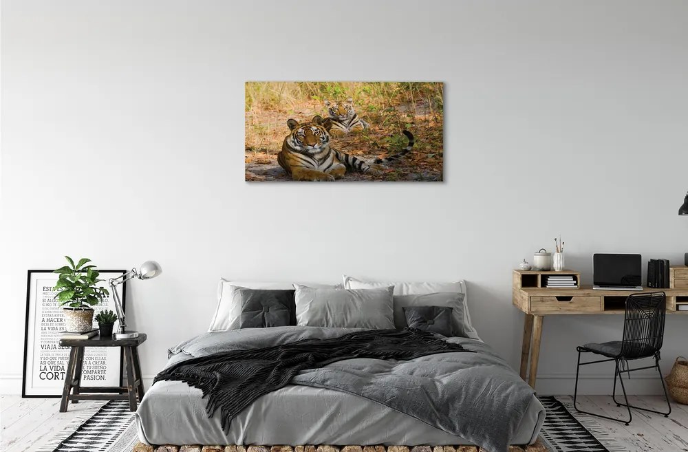 Obrazy na plátně Tigers 120x60 cm