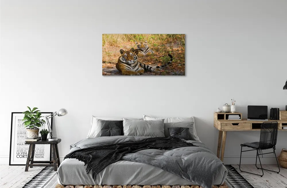 Obrazy na plátně Tigers 140x70 cm