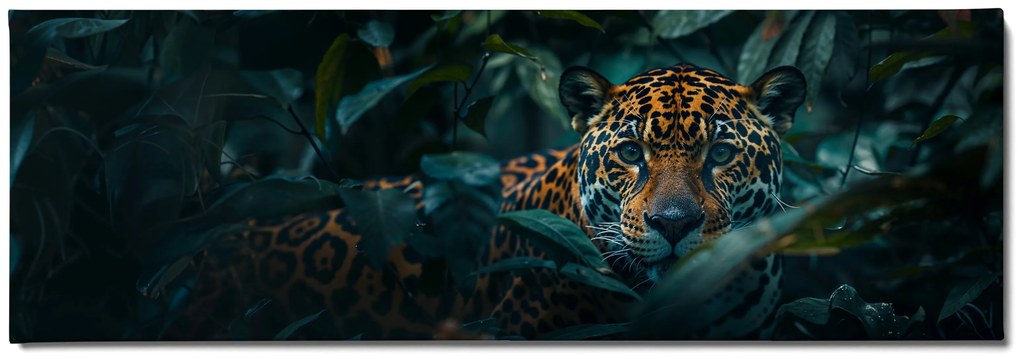 Obraz na plátně - Jaguár skrytý v temné džungli FeelHappy.cz Velikost obrazu: 180 x 60 cm