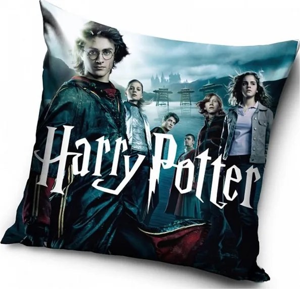 Carbotex Povlak Harry Potter a Čarodějovi učni 40x40 cm
