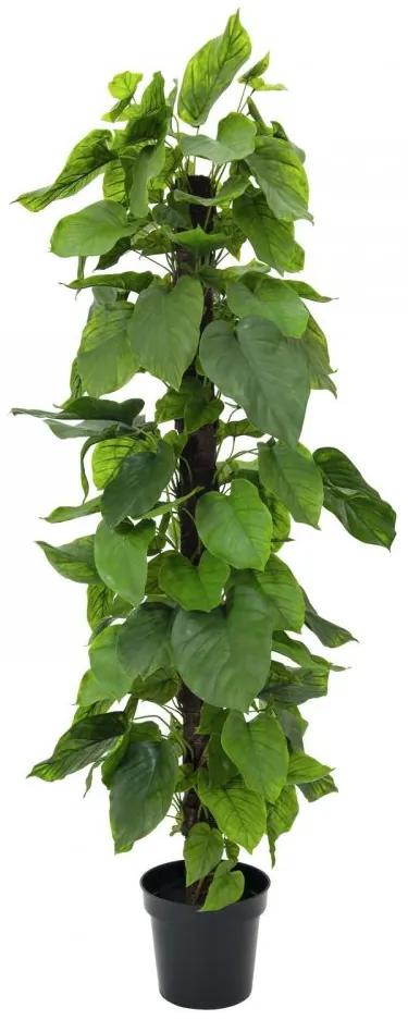 Umělá květina - Pothos strom, 180 cm