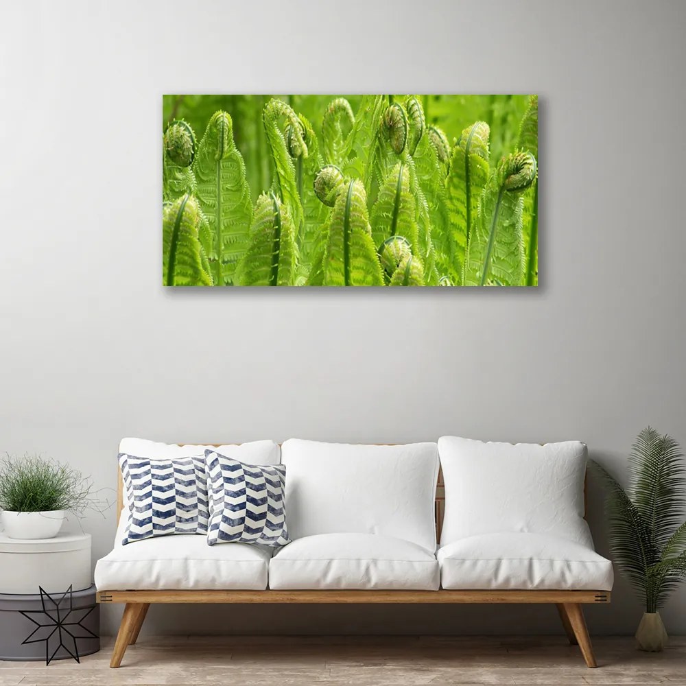 Obraz na plátně Rostlina Příroda 120x60 cm