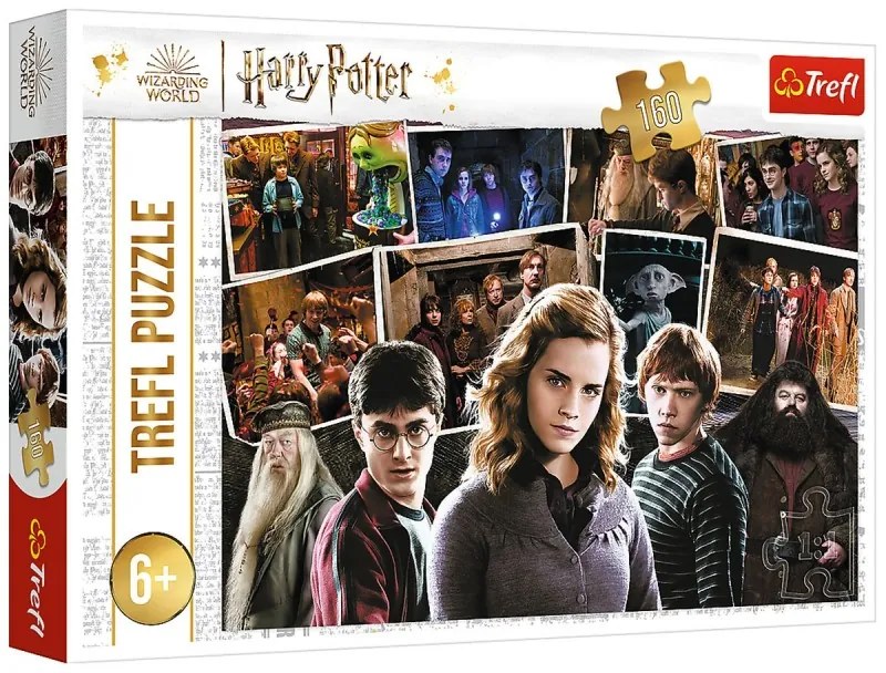 15418 Dětské puzzle - Harry Potter - 160ks