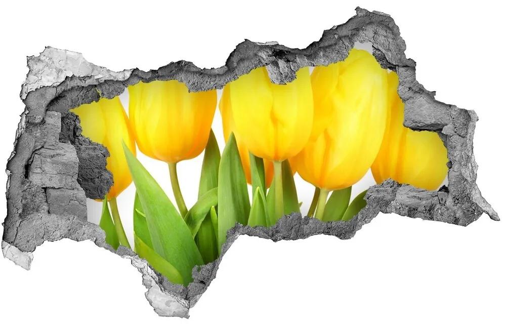 Wallmuralia Samolepící díra na stěnu Žluté tulipány 95x73 cm