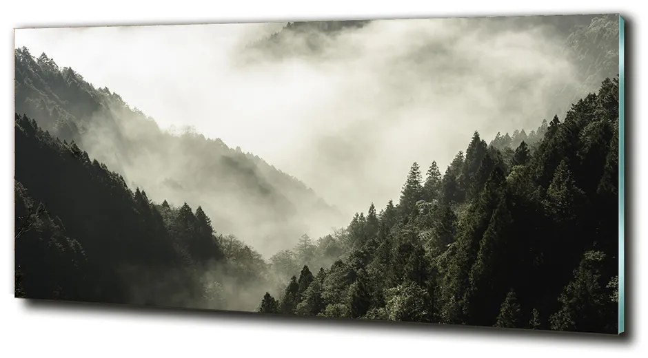 Wallmuralia Foto obraz fotografie na skle Mlha nad lesem 125x50 cm
