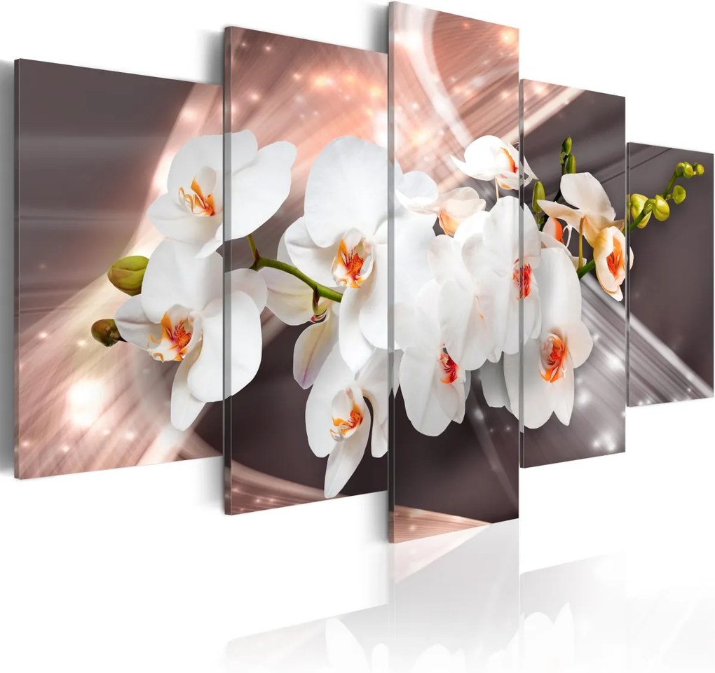 Abstraktní obraz bílá orchidej + háčky a hřebíčky ZDARMA Velikost (šířka x výška): 200x100 cm