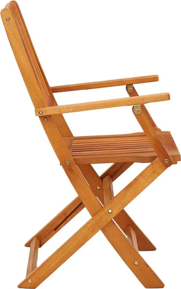 vidaXL Skládací zahradní židle 2 ks masivní eukalyptové dřevo [312449]