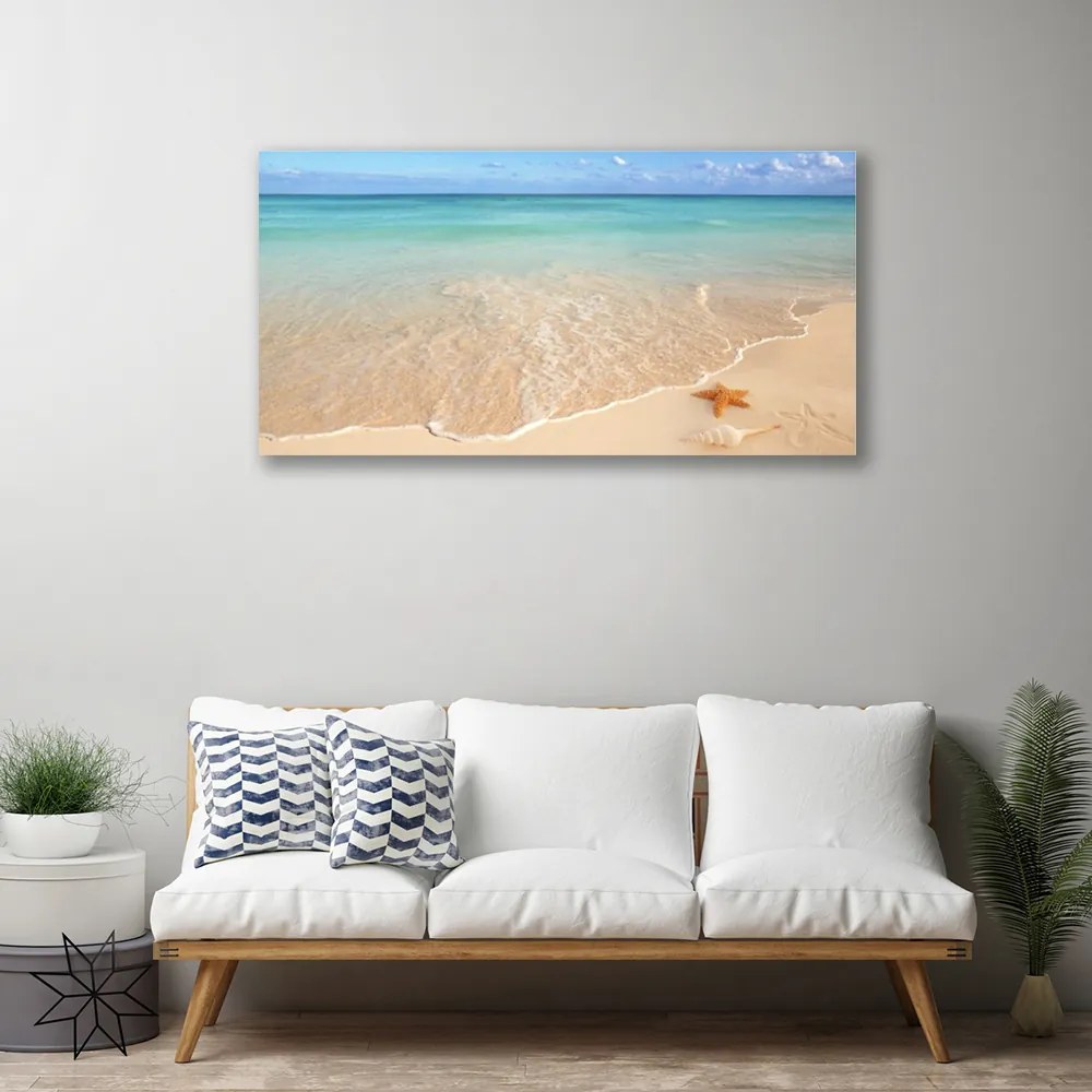 Obraz na plátně Pláž Hvězdice Krajina 125x50 cm