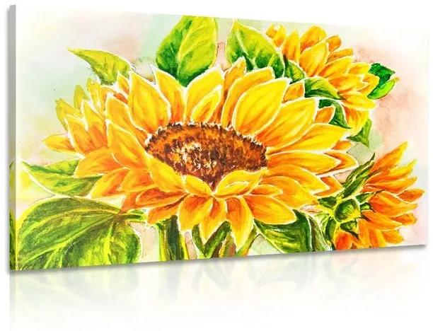Obraz nádherná slunečnice - 120x80 cm