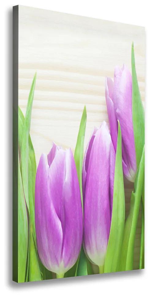 Wallmuralia Foto obraz na plátně Fialové tulipány 70x140 cm