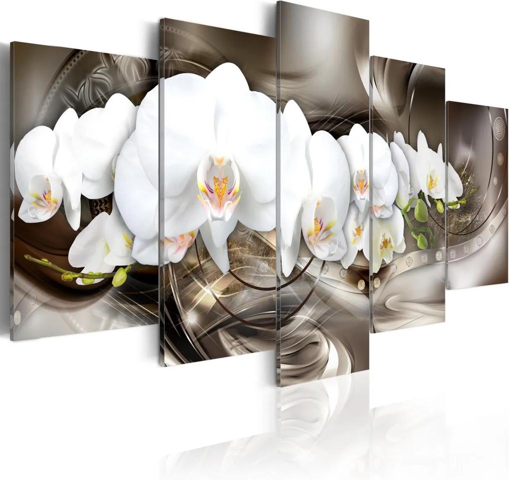 Pětidílné obrazy - bílá laň (200x100 cm) - Murando DeLuxe