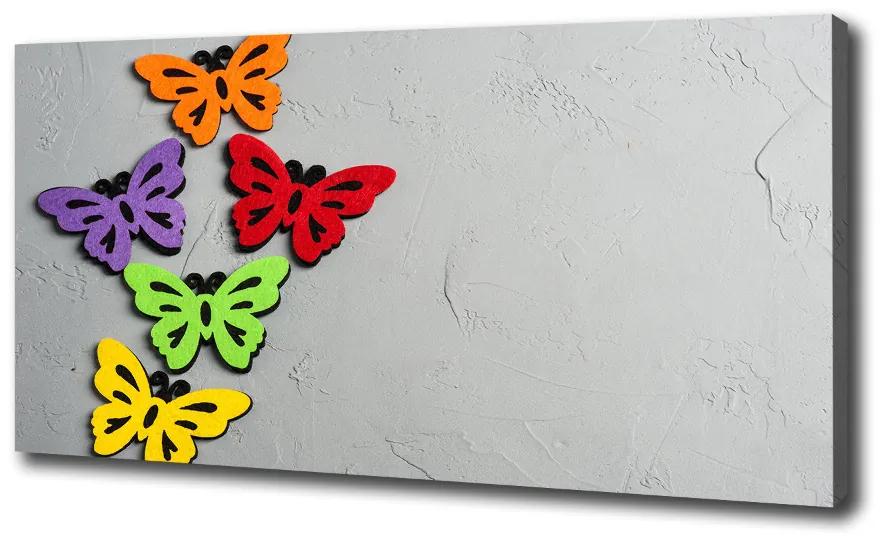 Wallmuralia Foto obraz canvas Barevní motýli 100x50