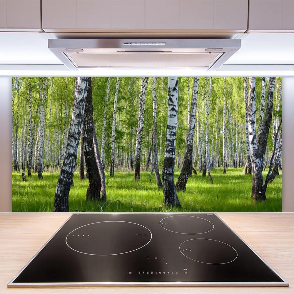 Kuchyňský skleněný panel Les Příroda 100x50 cm