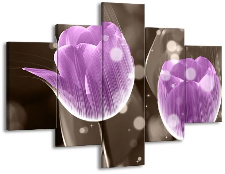Fialové tulipány a rosa 100x70 cm