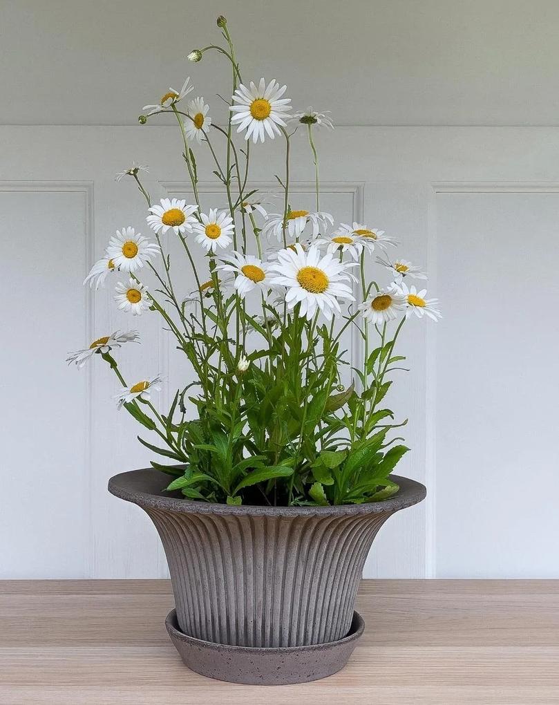 Malý květináč Daisy s podstavcem 30 cm šedý