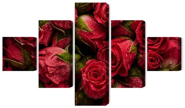 Vícedílný obraz Růže S Kapkami Vody Nedostatek Nedostatek Přírodní plátno 200x120