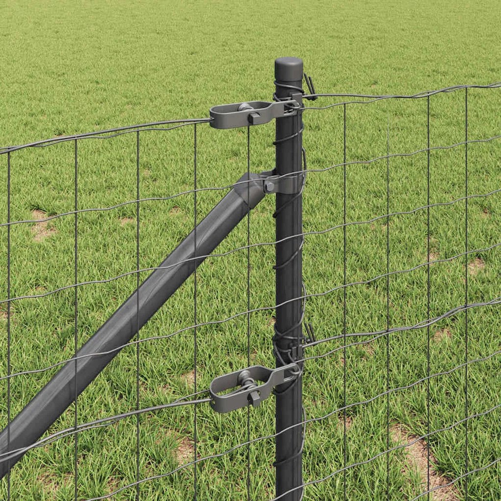 Evropský plot se hroty 25 x 0,8 m Ocel potažená PVC Šedá 3350711