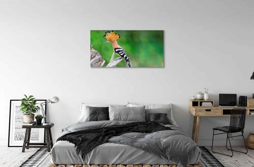 Obrazy na plátně Strom barevný papoušek 140x70 cm