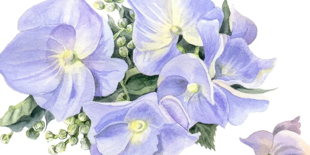 Obraz jemná kompozice květin Varianta: 100x50