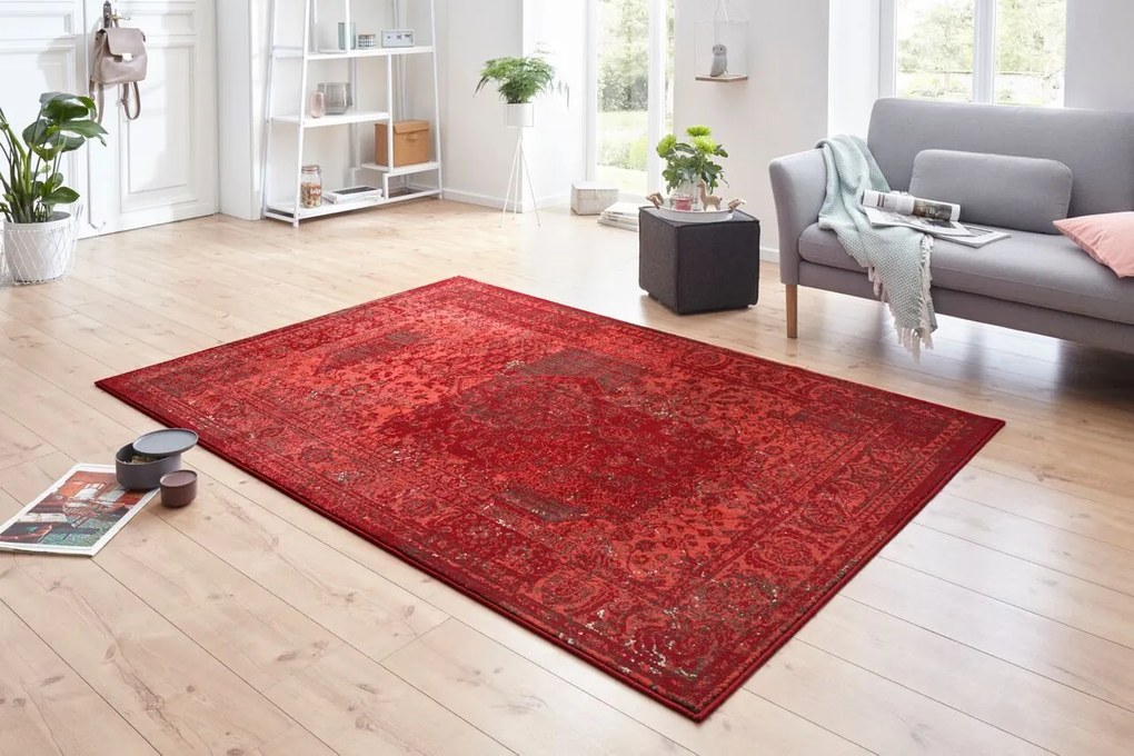 Hanse Home, Kusový koberec Celebration 103467 Plume Red, 80x250, červená, chodba / předsíň