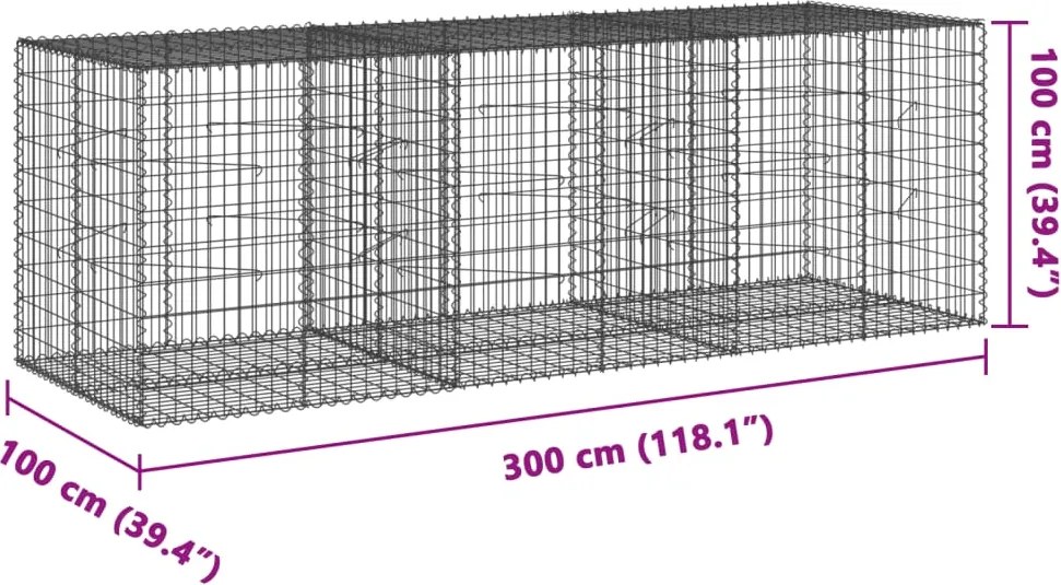 Gabionový koš s víkem 300 x 100 x 100 cm pozinkované železo 3295194