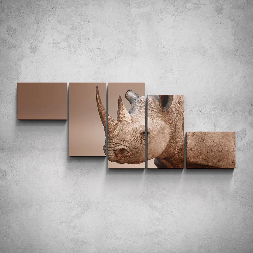 5-dílný obraz - Nosorožec - PopyDesign