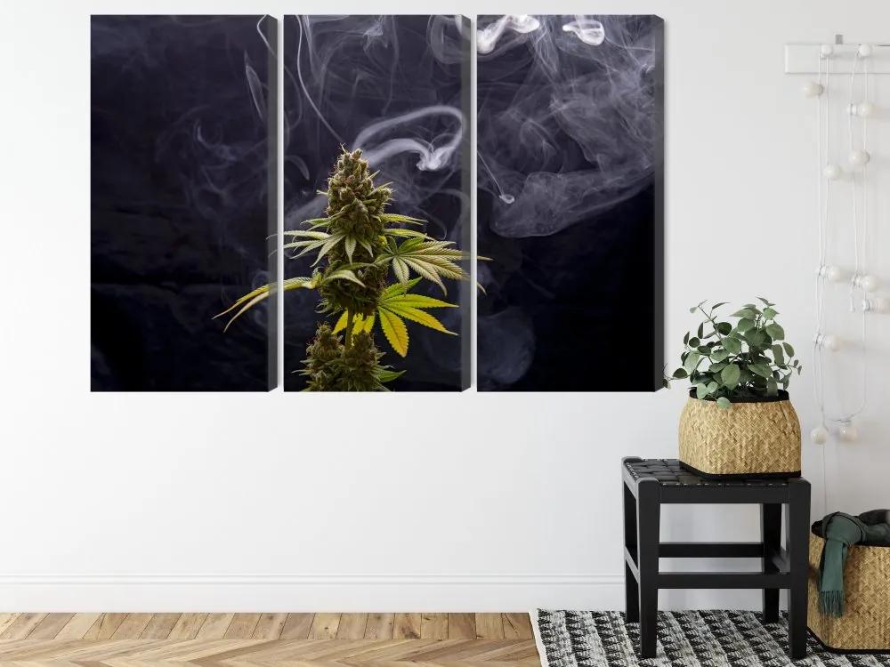 Vícedílný obraz Rostlina Konopí Na Zakouřeném Pozadí Nedostatek Nedostatek Plátno Canvas 120x80