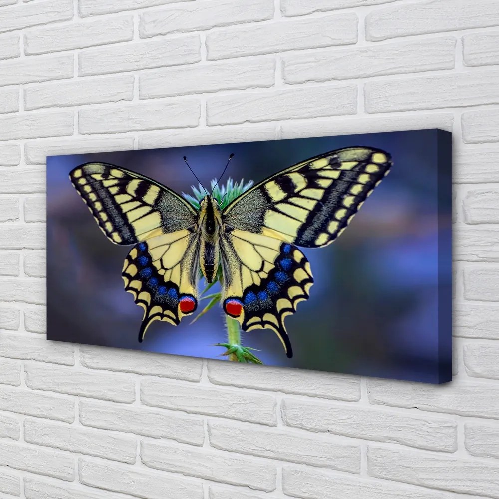 Obrazy na plátně Motýl na květině 125x50 cm