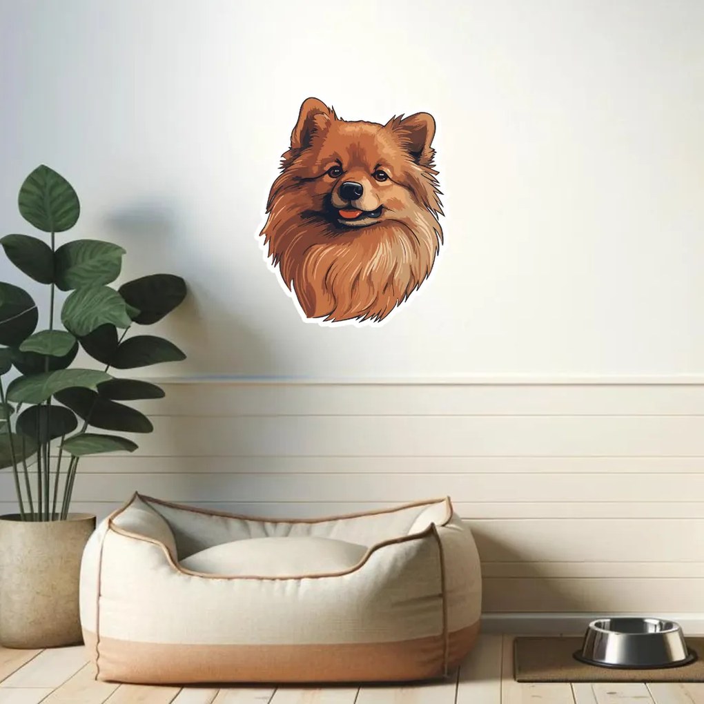 PIPPER. Nálepka Pomeranian Velikost: 60cm
