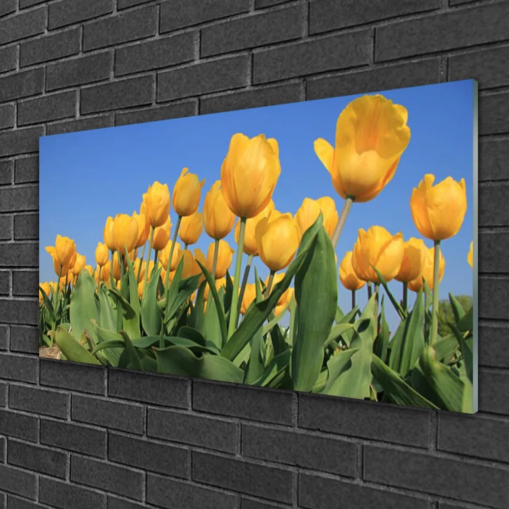 Obraz na skle Tulipány Květiny Rostlina 125x50 cm