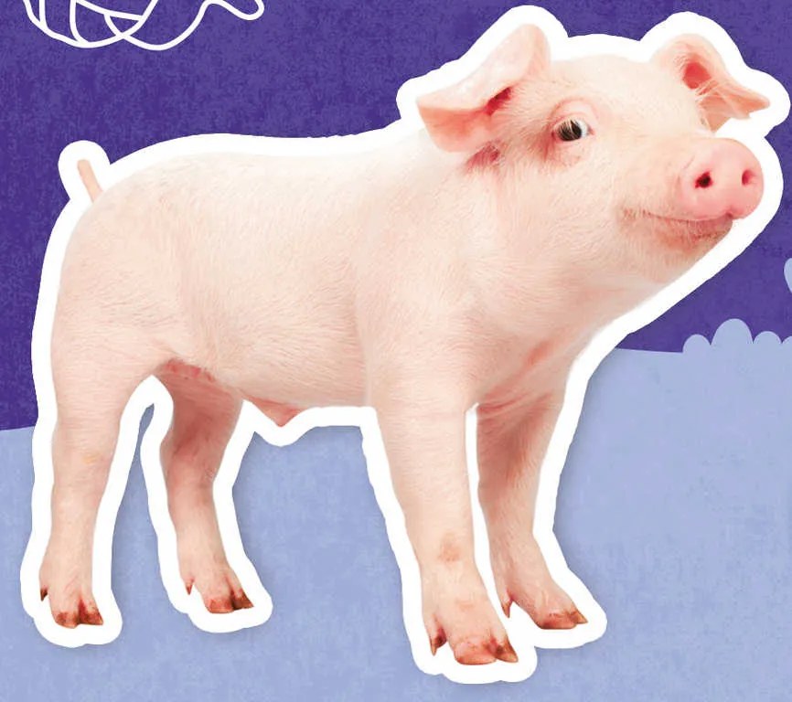 JIRI MODELS Naučná samolepková knížka Mláďátka 0