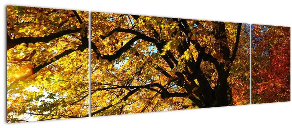 Obraz podzimu (170x50 cm)