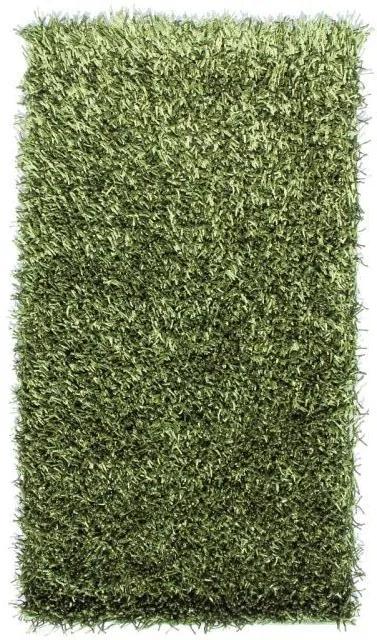 Vopi | Kusový koberec ROSA Green - Rosa Green 120x170 cm
