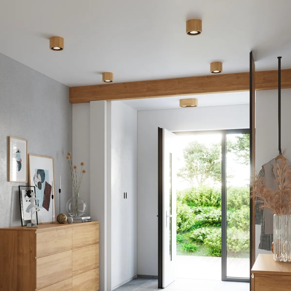 Sollux Lighting Plafond BASIC 1 přírodní dřevo