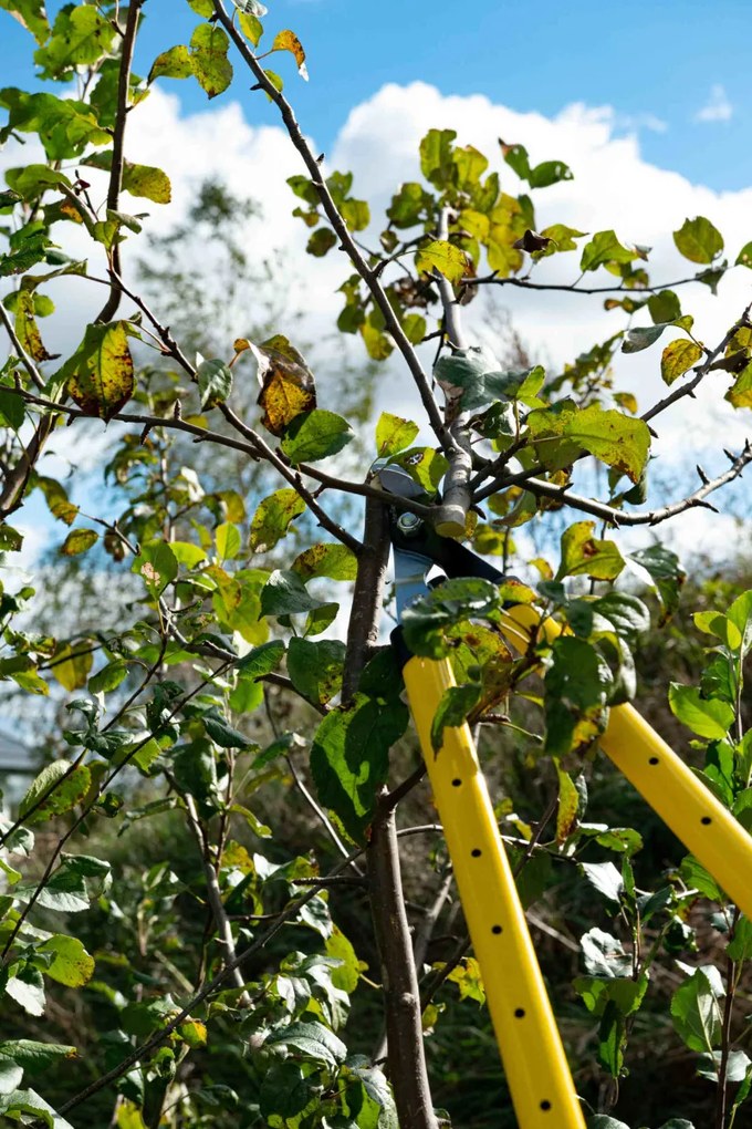 Nůžky na větve teleskopické pákové GEKO, 655-900 mm
