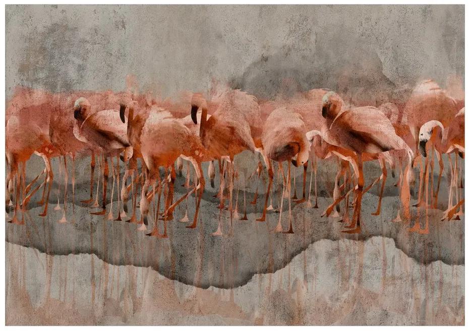 Fototapeta - Jezero Flamingo 200x140 + zdarma lepidlo