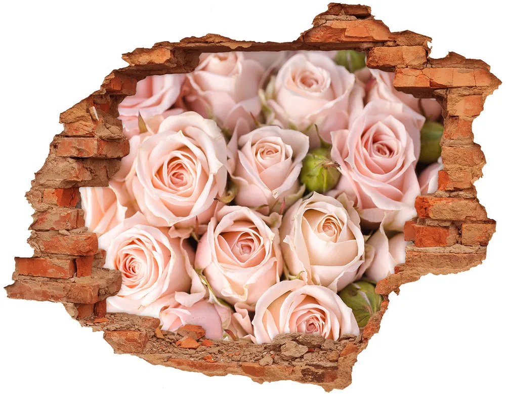 Wallmuralia Samolepící díra na stěnu nálepka Růže 90x70 cm