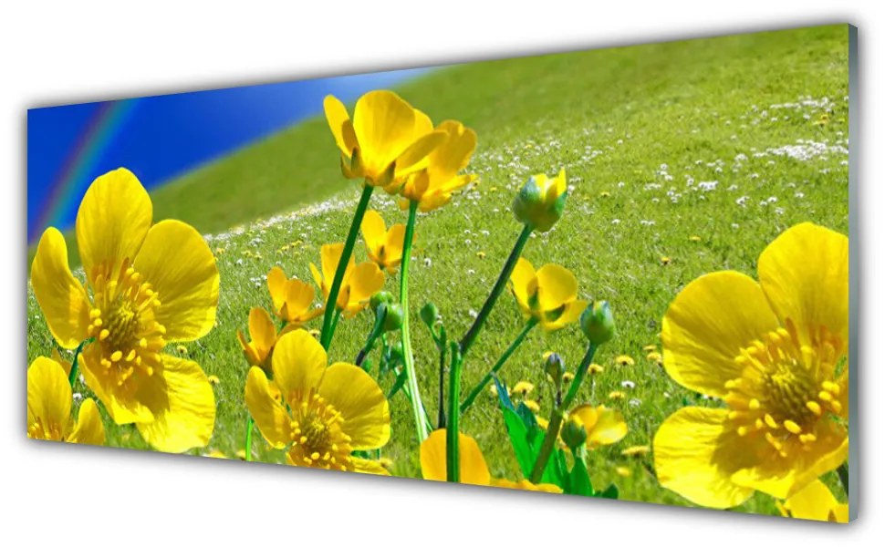 akrylový obraz Louka Květiny Duha Příroda 125x50 cm