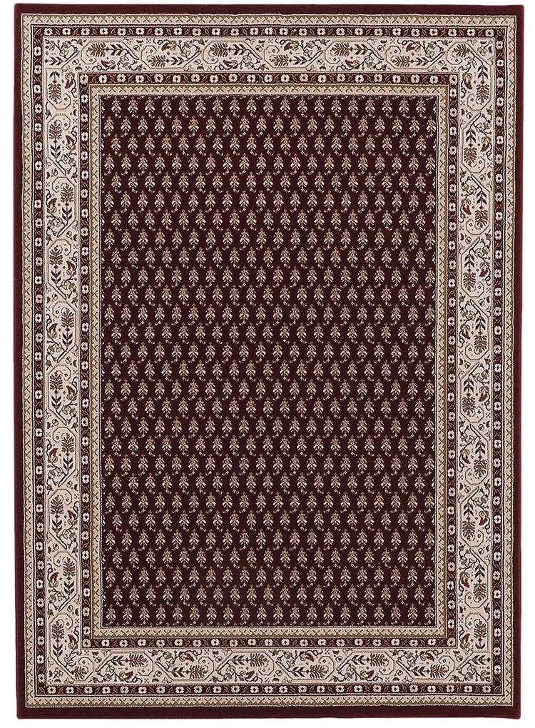Koberce Breno Kusový koberec CLASSICO/PALACIO 4446/C78C, Vícebarevné, 80 x 140 cm