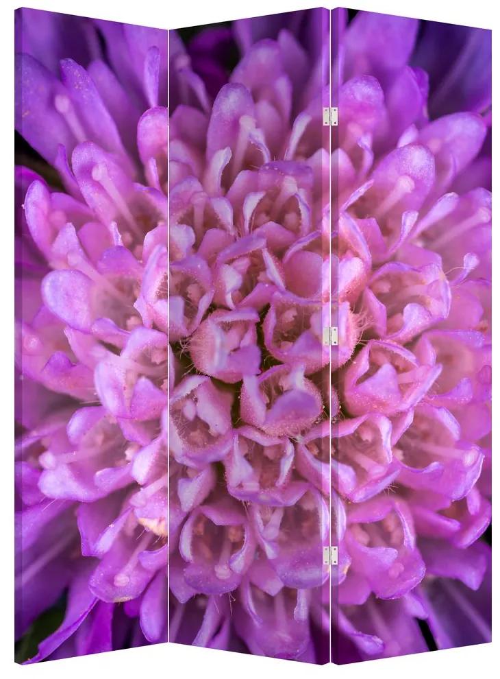 Paraván - Detail květu (126x170 cm)