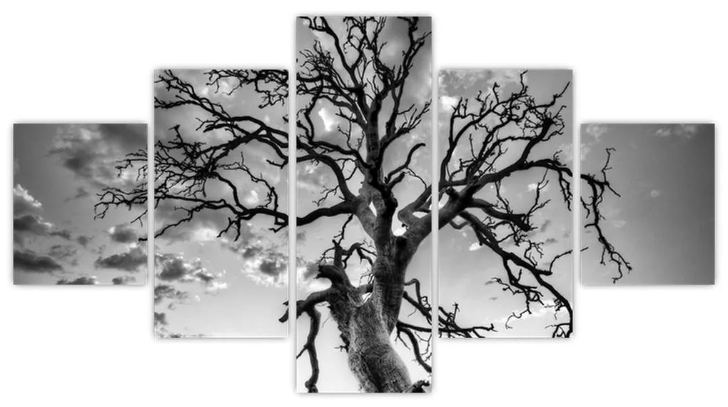 Obraz - Černobílý strom (125x70 cm)