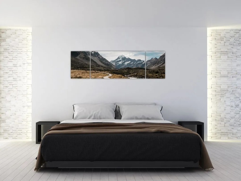 Obraz - Chodník v údolí hory Mt. Cook (170x50 cm)