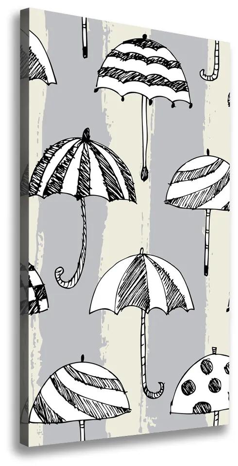 Wallmuralia Vertikální Vertikální Foto obraz na plátně do obýváku Deštník Francie 50x100