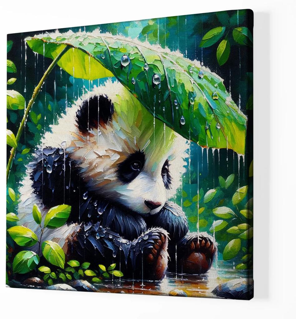 Obraz na plátně - Panda čeká, až přestane pršet FeelHappy.cz Velikost obrazu: 120 x 120 cm
