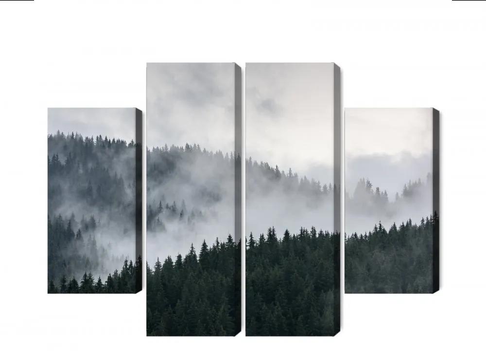 Vícedílný obraz Zamlžená 3D Lesní Krajina Nedostatek Nedostatek Přírodní plátno 200x150