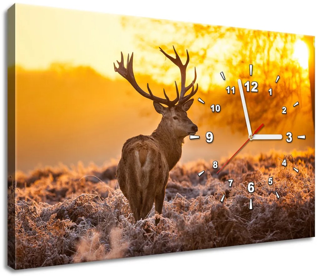 Gario Obraz s hodinami Silný jelen Rozměry: 30 x 30 cm