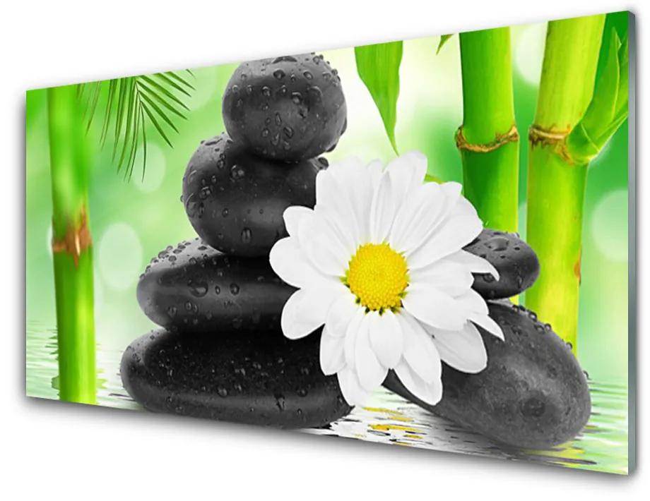 Plexisklo-obraz Bambus Kameny Zen Květ 120x60 cm